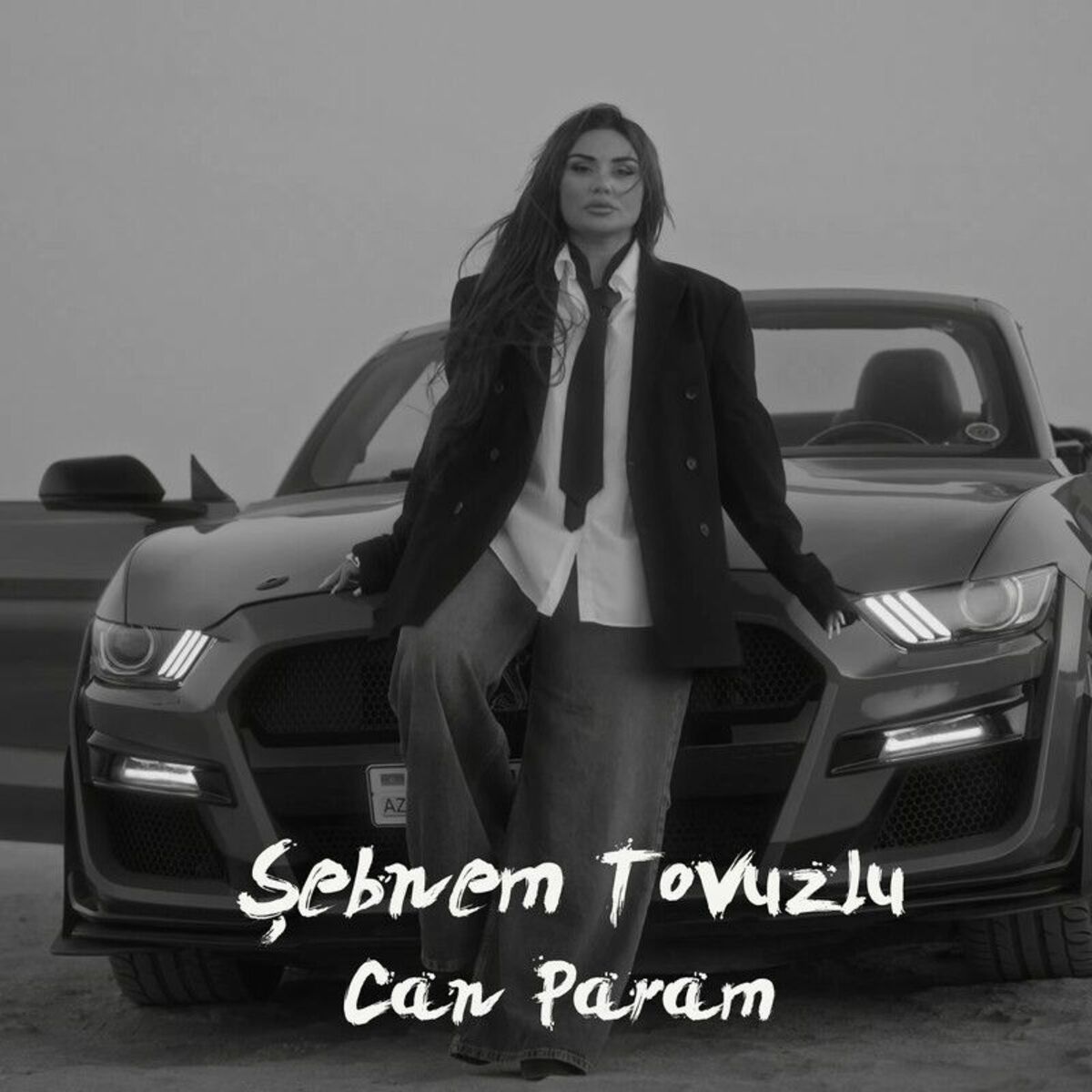 دانلود آهنگ Sebnem Tovuzlu Sev